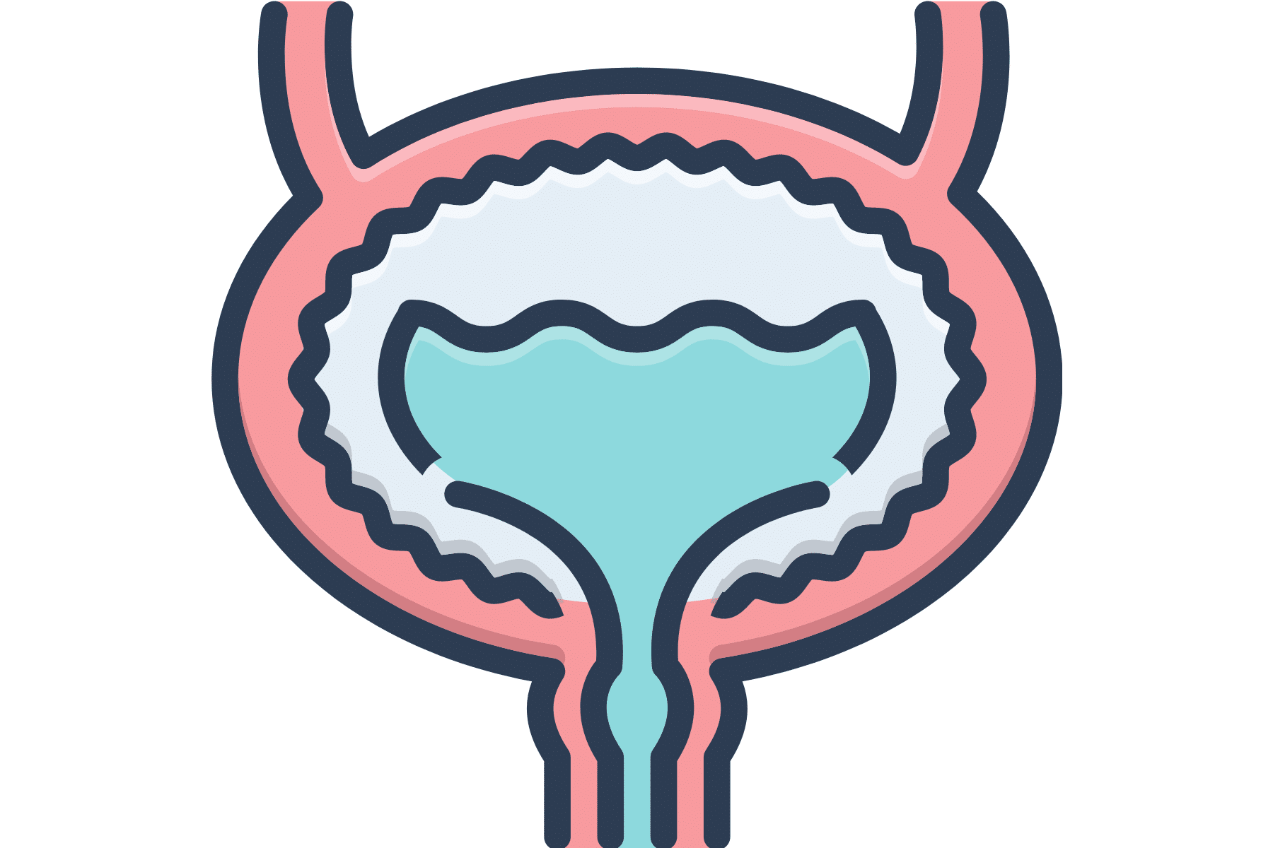 Top 5 Tips to Keep Your Bladder Healthy - 180 Medical